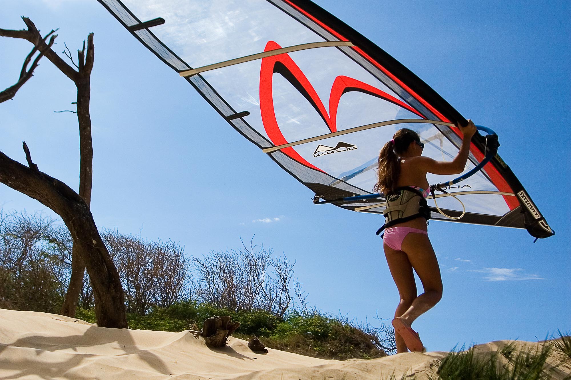 2008 Aloha - Recreational Freeride | MauiSails Hawaii